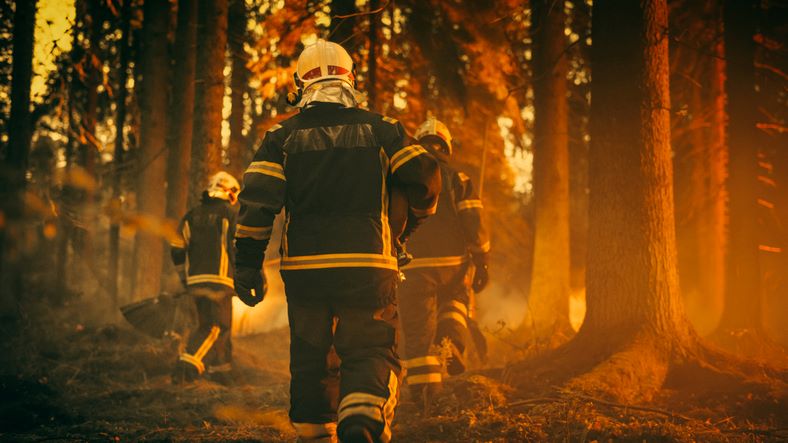 WLF-2203 Wildland Fire Behavior | Surry Community College